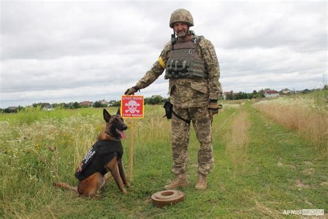 ЗСУ звільнили 12 населених пунктів на Херсонщині і успішно просуваються далі Вечірній Київ