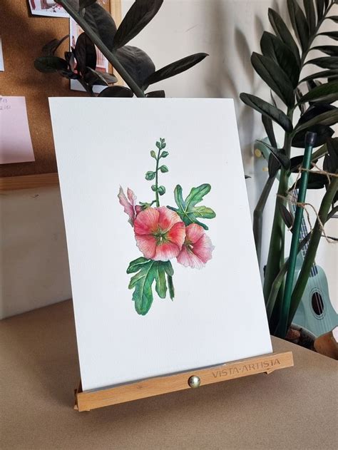 Акварельный блог | мальва акварелью in 2024 | Botanical drawings ...