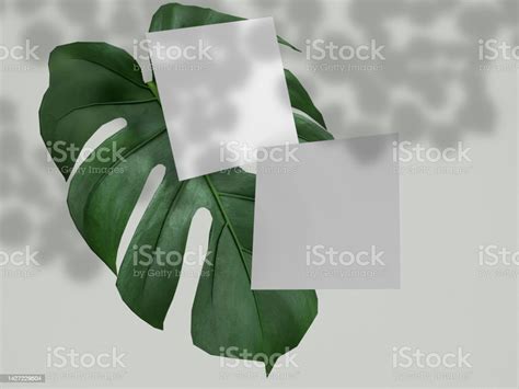 자연 잎과 그림자카드 모형 프레젠테이션 브랜딩을 위한 모형 디자인 템플릿입니다 3d 렌더링 개념에 대한 스톡 사진 및 기타 이미지 Istock