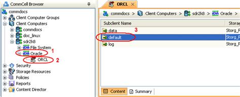 Commcell Console  — Bull On Line Support Portal