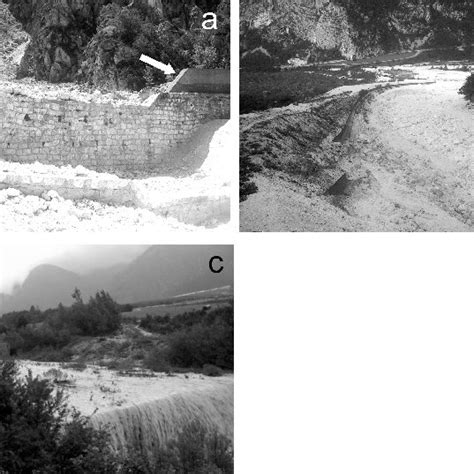 Application Of The Flo 2d Model Map Of The Maximum Flow Depths A