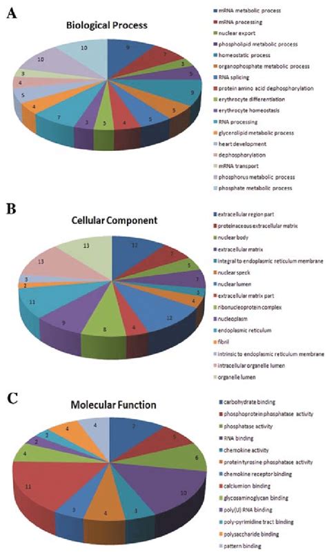 Gene Ontology Go Functional Annotation Clustering Analysis A Download Scientific Diagram