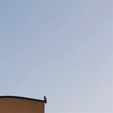 Alireza Modarresi On Linkedin ‎alireza Modarresi علیرضا مدرسی‎ On Instagram‎ موزه هنر های