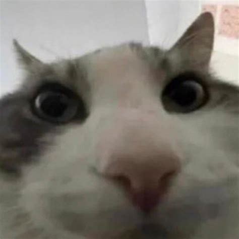 How To Disable All Explosion Issue HbmMods Hbm S Nuclear Tech GIT GitHub