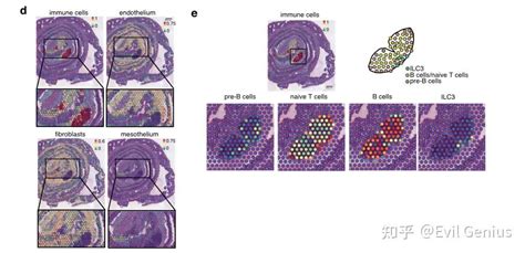 关于10x空间转录组质控分析的讨论 知乎
