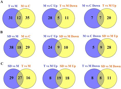 Comparisons Of The Number And Overlapping Relationships Of Download Scientific Diagram