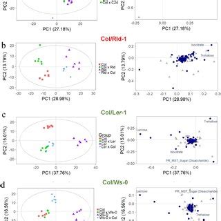 PCA Plots For Metabolites Obtained From Arabidopsis Combinations Score Download Scientific