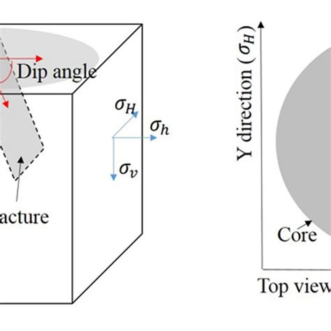 Schematic Diagram Of The Spatial Distribution Of Nfs A Three Views Of