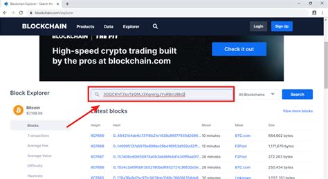 TXID Meaning What Is TXID And Why It S Important Paybis Blog