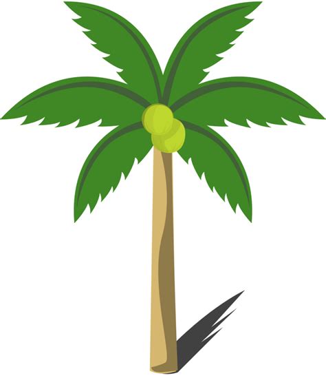 Coconut Tree 36654719 Vector Art At Vecteezy