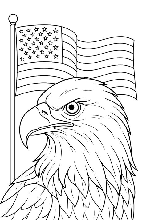Free And Customizeable Bald Eagle Drawing Templates Playground