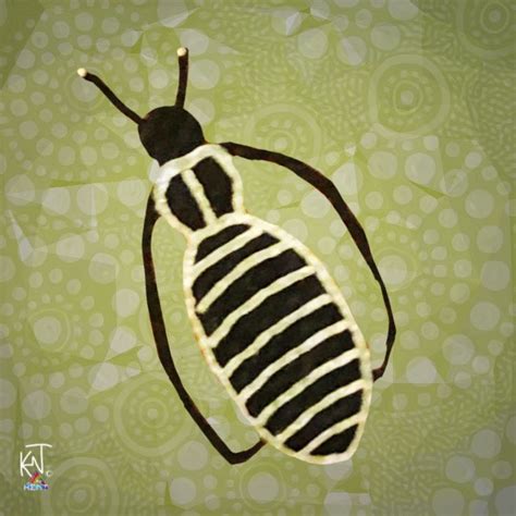 Australian Native Bees No Stingers