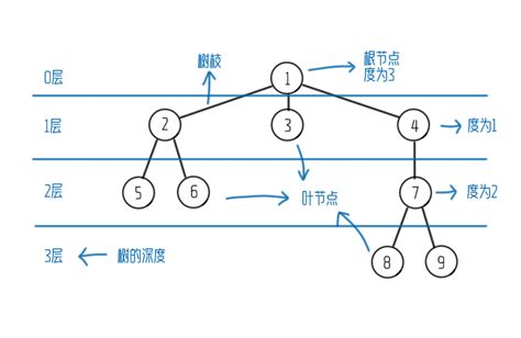学习笔记——树 序炁的博客