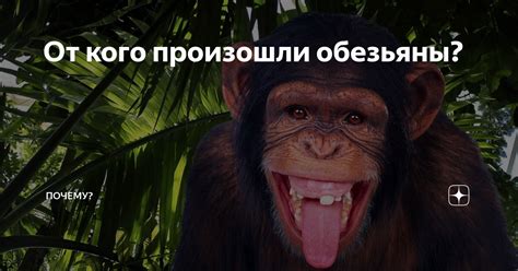 От кого произошли обезьяны? | Почему? | Дзен