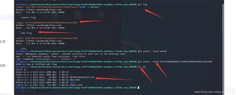 信息泄露之githack Master的使用 Csdn博客