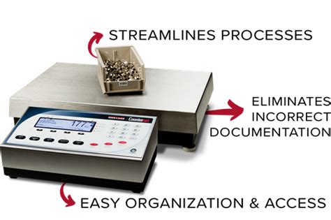 Accuracy Counts Common Counting Scale Questions
