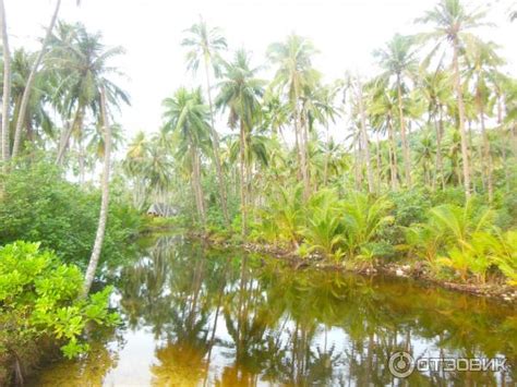 Отзыв о Экскурсия на остров Ко Куд Таиланд путешествие в страну тишины и уединения