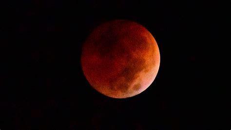 See Photos From Brevard Of The Total Lunar Eclipse As Moon Turned Red
