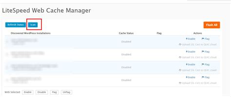 How To Enable LiteSpeed Web Cache Manager On CPanel