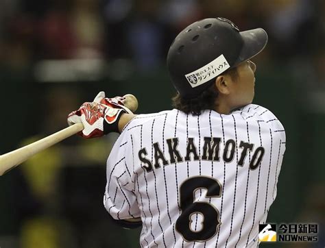日職／坂本勇人雙響砲 巨人送軟銀無安打比賽 運動 Nownews今日新聞