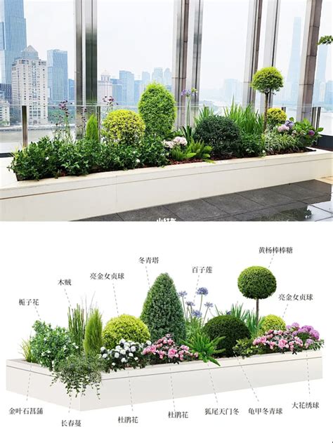 微信截图20230713105312