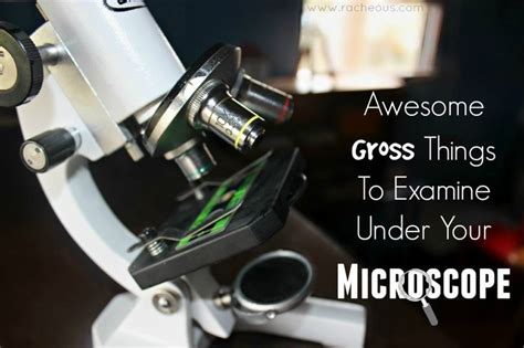 31 Best Microscope Activities Images On Pinterest Life Science Science Fun And Science Ideas