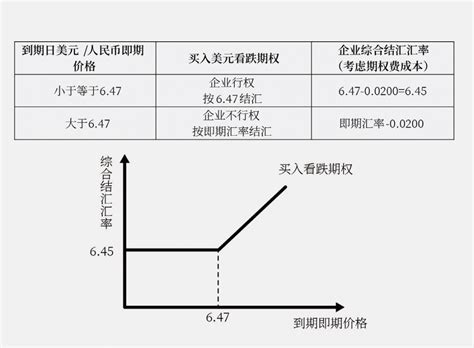 企业汇率风险管理指引⑦ 汇率避险产品人民币外汇期权 北京通信信息协会