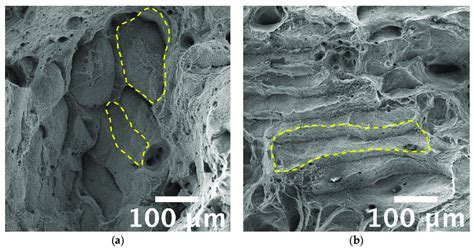 Feg Sem High Magnification Fractographic Analyses Detail Of Successive