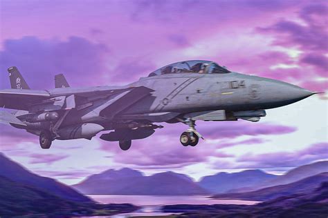 Us Navy F 14 Tomcat The Evolution Of The Variable Sweep Wing