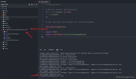部署node js express mongodb（更新中） express mongodb 上传 csdn博客
