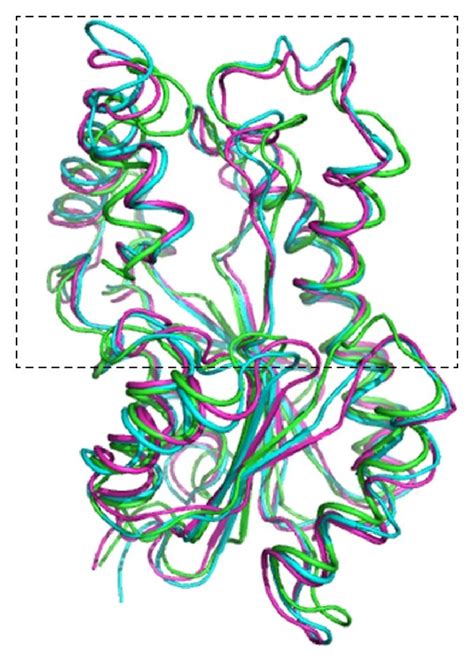 Molecular Docking Simulation Molecular Surface Representation Of The Download Scientific
