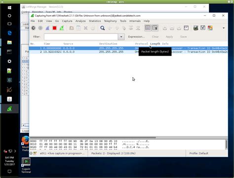 Display Wireshark Using Cygwin
