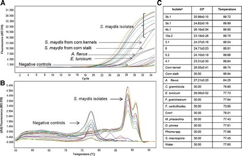 Development Of Molecular Assays For Detection Of Stenocarpella Maydis And Stenocarpella