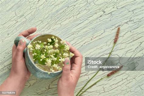 창백한 노란 야생화와 손에 오래된 도자기 컵 질감이 있는 라이트 민트 그린 배경에 평평한 누워 있는 노령의 딱딱한 페인트 성숙한