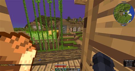 Crazy Texture Pack Bug Rminecraft