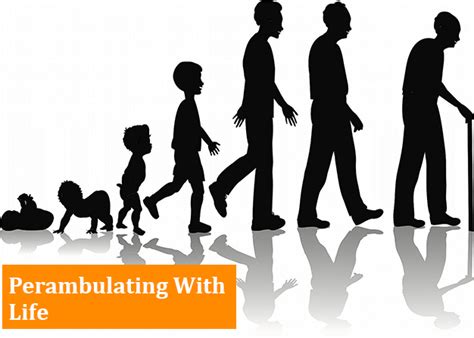 Perambulating With Life Emmanuel Kusi Achampong