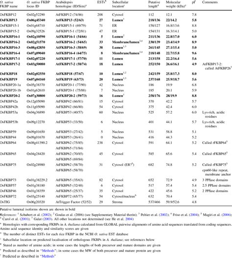 Properties Of Putative Fkbps Identified From O Sativa Genome Download Table