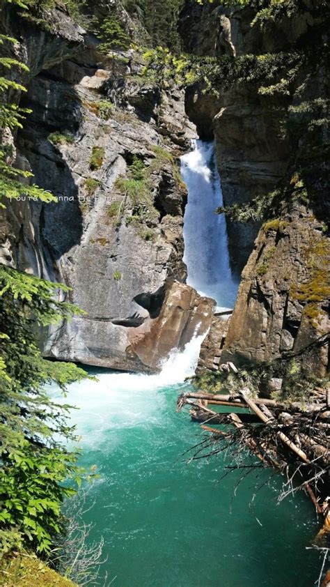 캐나다 서부여행]벤프국립공원] 존스턴캐년 Johnston Canvon 네이버 블로그