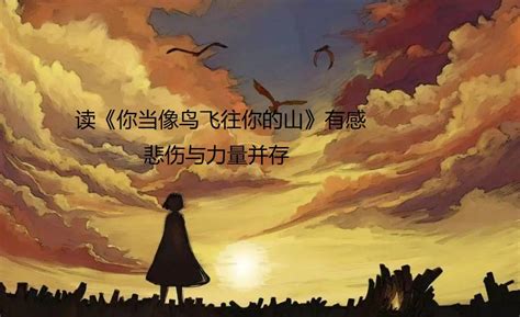 读《你当像鸟飞往你的山》有感—悲伤与力量并存 知乎