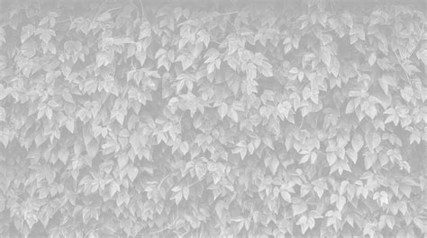 자연의 질감 있는 배경 매혹적인 살아있는 벽이나 무성한 녹색 잎이 많은 식물의 울타리 봄 정원 정원 식물 꽃밭 Png 일러스트 및 이미지 에 대한 무료 다운로드