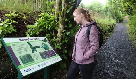 New Enhanced Visitor Experience For Popular County Derry Woodlands Derry Now