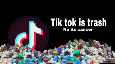 Tik Tok Api Python что такое Serviceid инфа для разработчиков