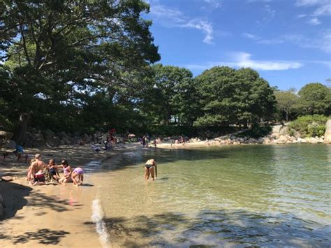 Half Moon Beach Gloucester 2021 All You Need To Know Before You Go