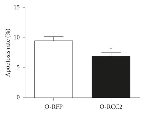 Effect Of Rcc2 Expression On Mcf 7 Cells Mcf 7 Cells Were Cultured And