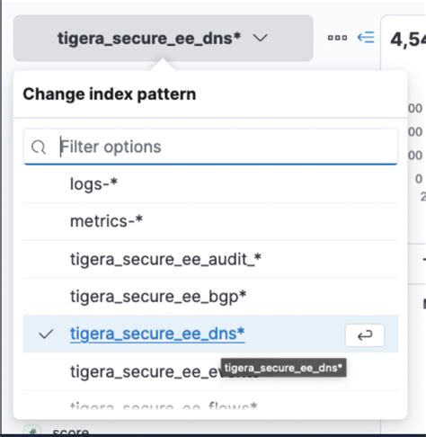 How To Use Dns Logs To Identify Dns A And Aaa Records