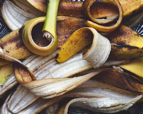 6 Pros And Cons Of Composting To Know Before You Start