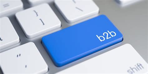 IBM B2B Partner Profile Remedi