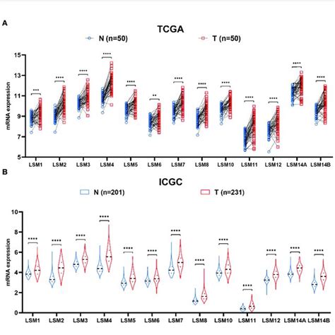 Differential Expression Analysis Of LSM Family Members A LSM Download Scientific Diagram