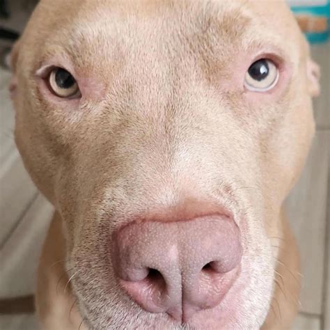 ‎sex Feat Ky Kiske Mike Wocky Wock Lil Tizzy Waterwrist Jarennotjaren And Lemonade