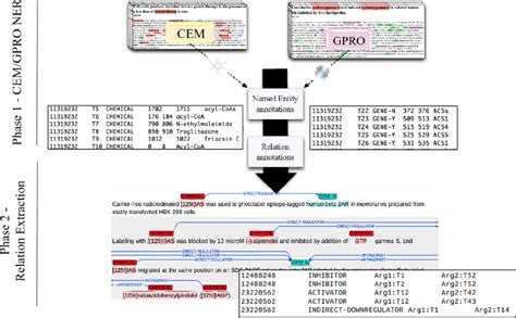 Figure 1 From Overview Of Drugprot Task At Biocreative Vii Data And Methods For Large Scale